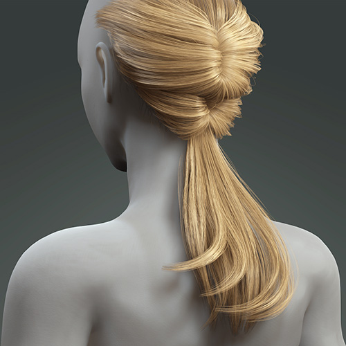 Twisted Ponytail