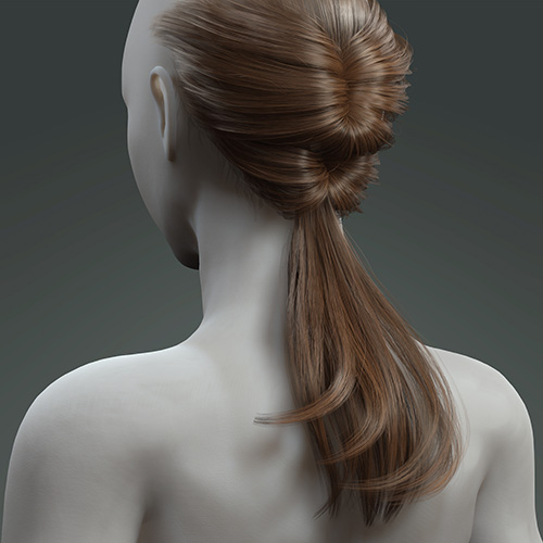Twisted Ponytail