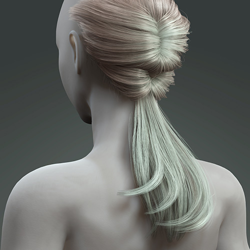 Twisted Ponytail