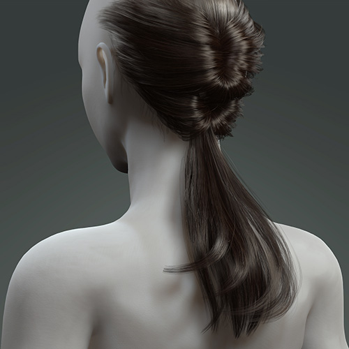 Twisted Ponytail