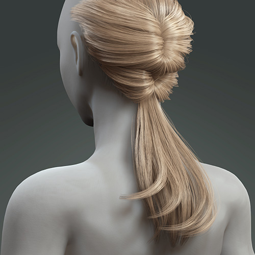 Twisted Ponytail