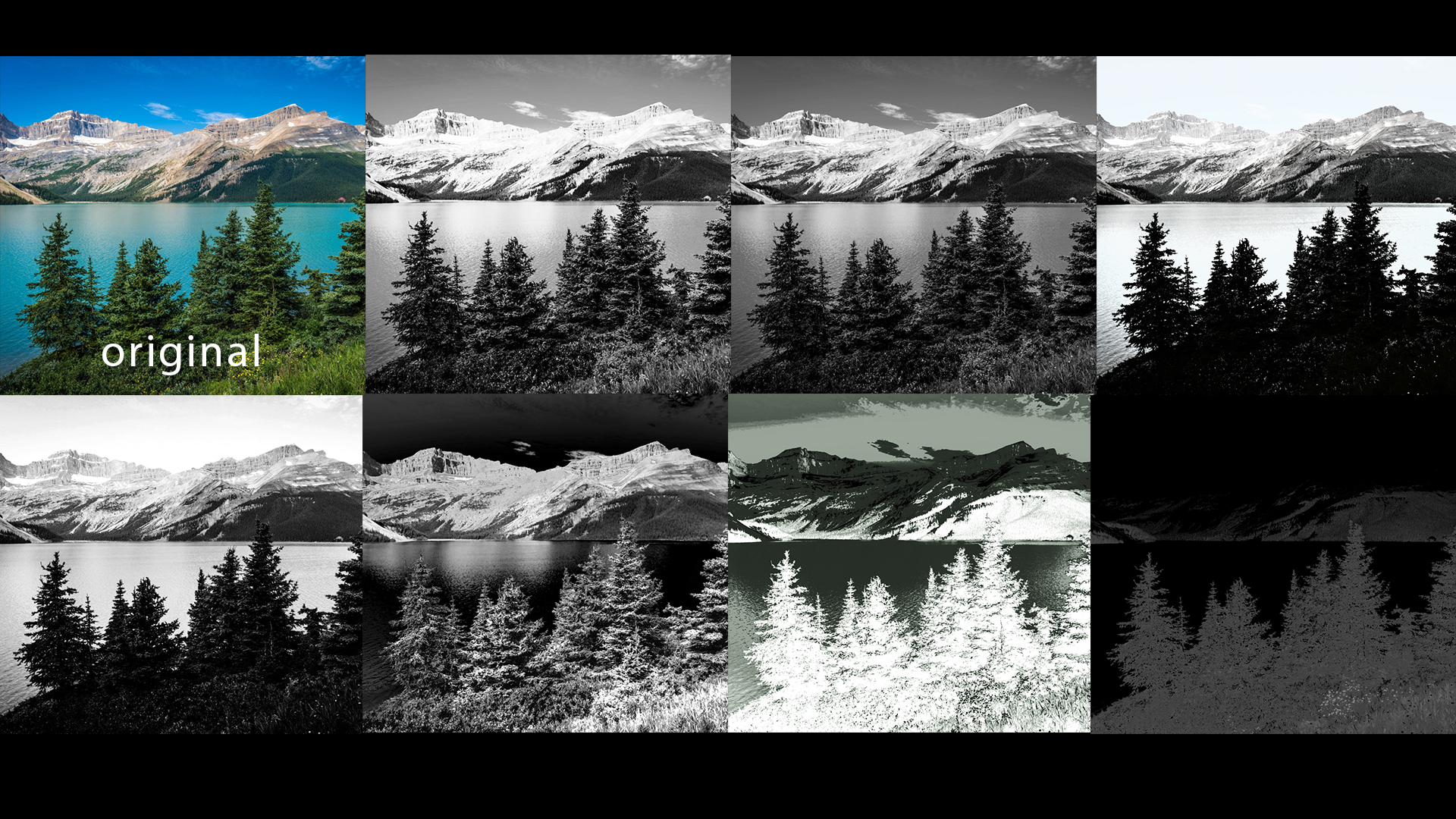 77 LUT effects