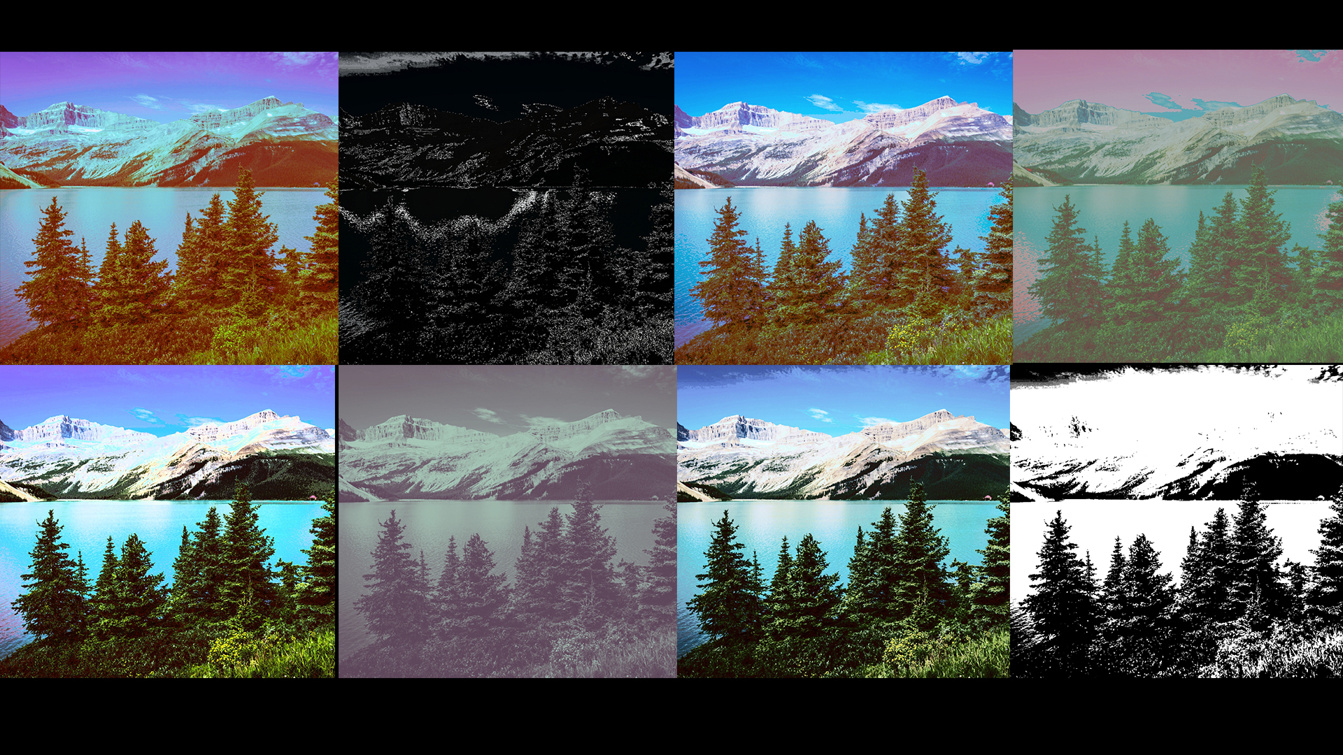77 LUT effects