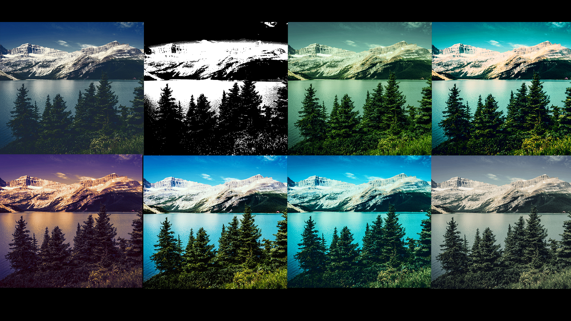 77 LUT effects