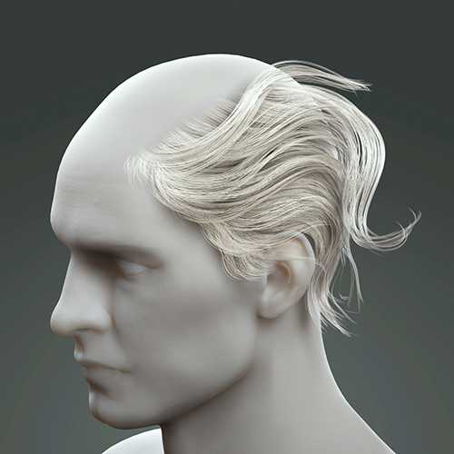 Back-swept Curls_L