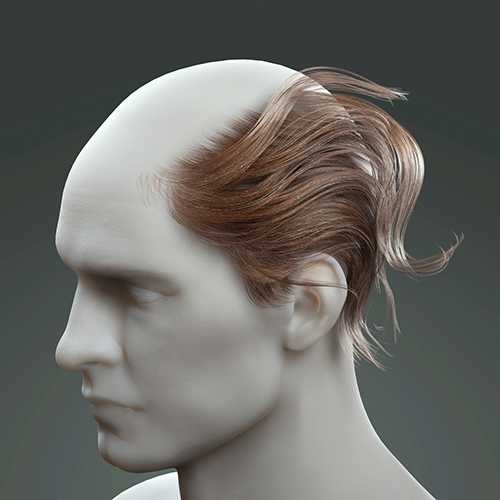 Back-swept Curls_L