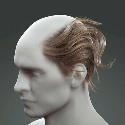 Back-swept Curls_L