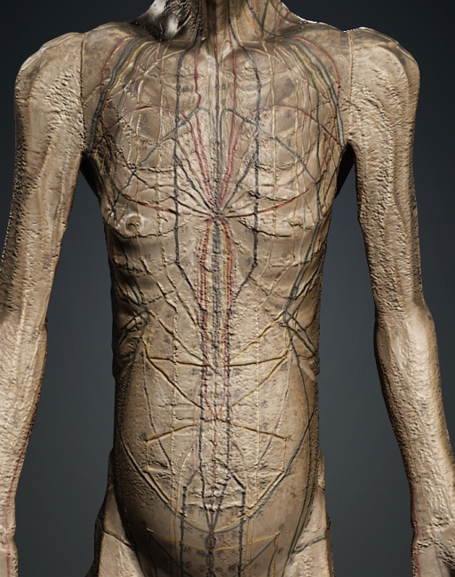 Acupuncture Doll