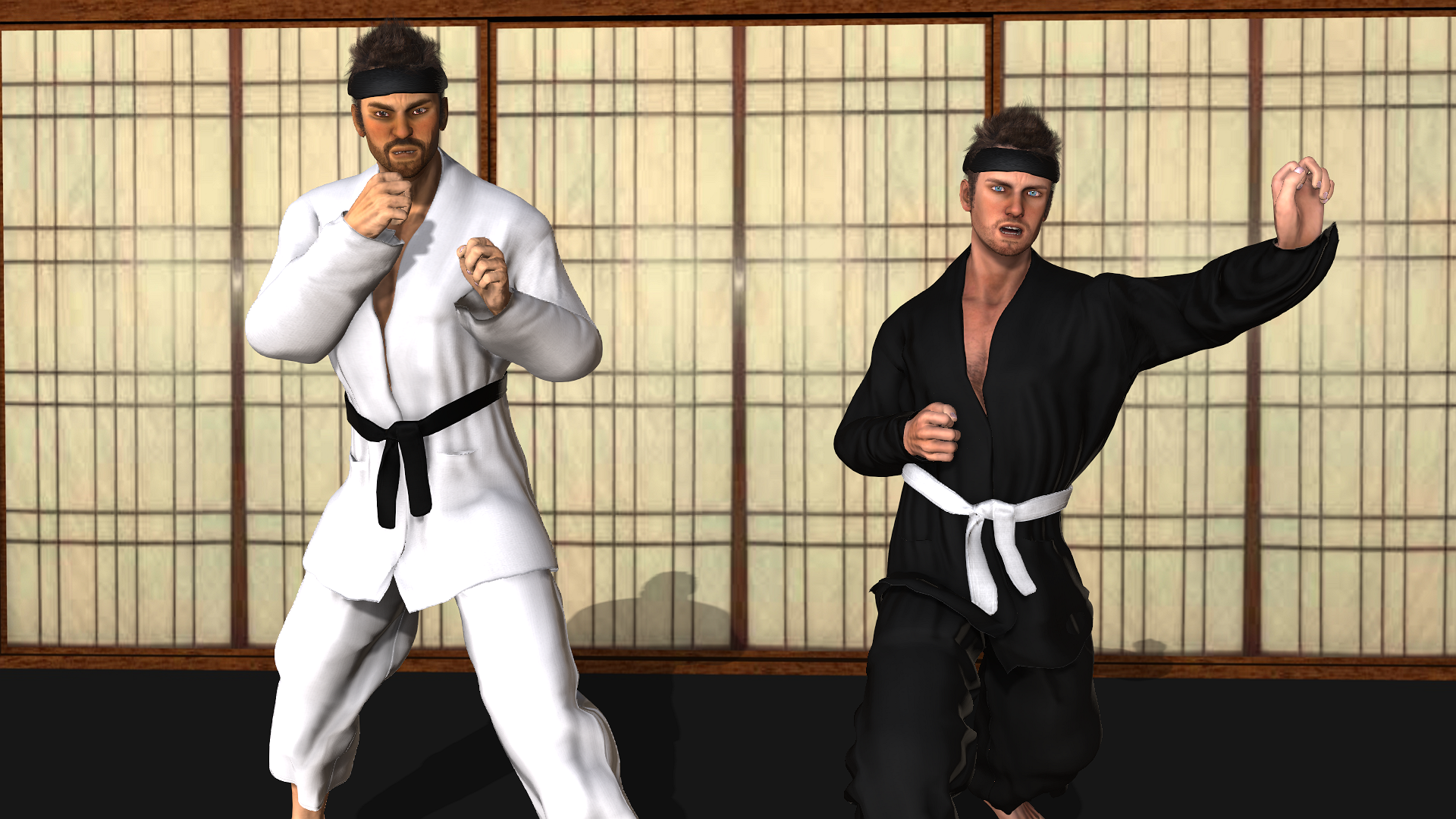 Martial Arts Karate