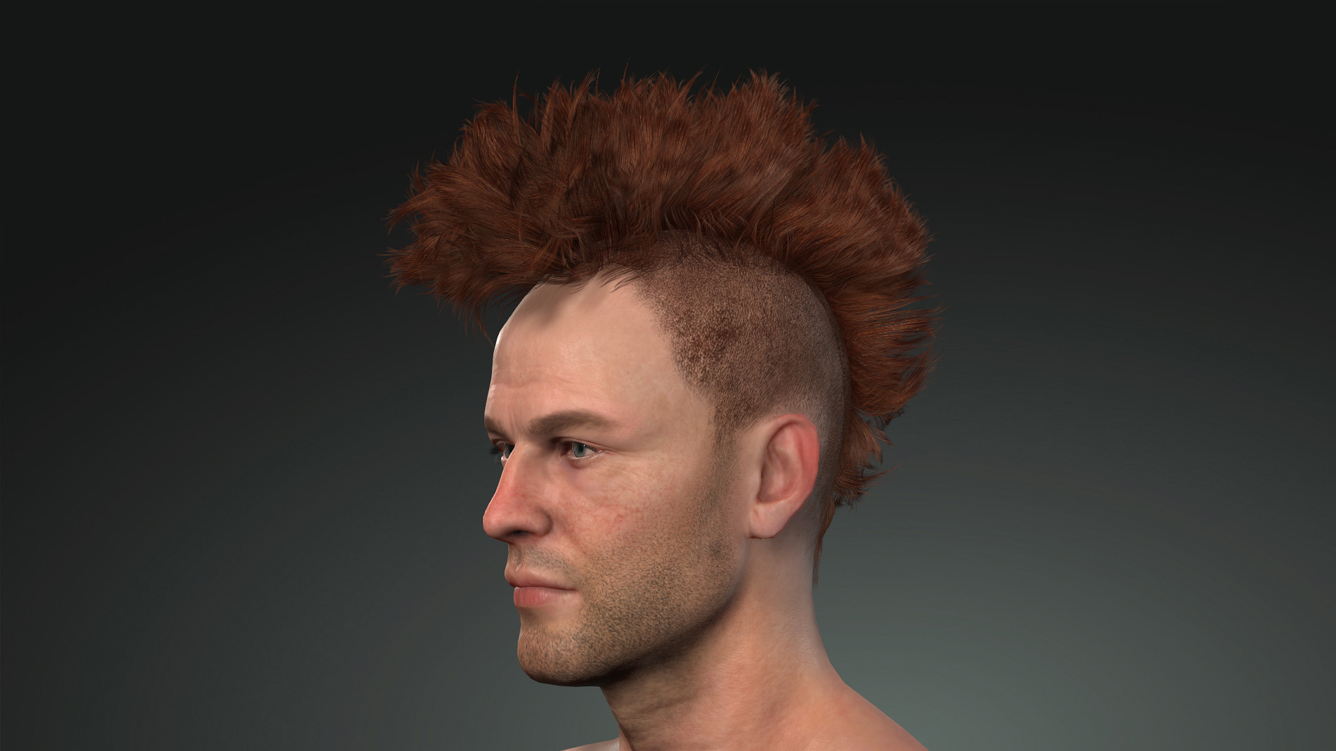 Mohawk Hair