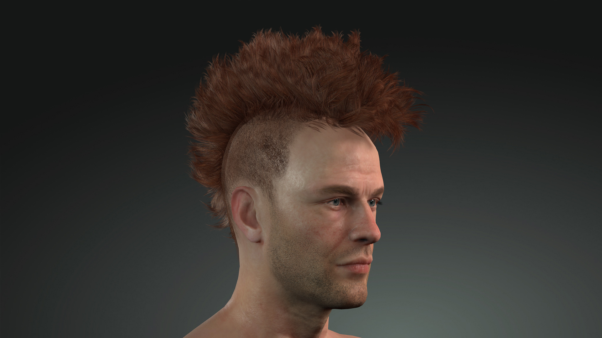 Mohawk Hair