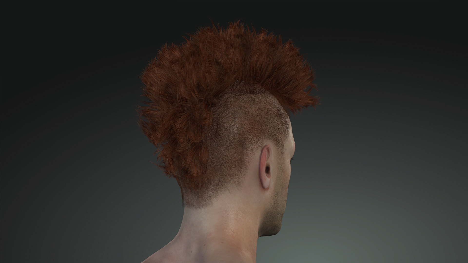 Mohawk Hair