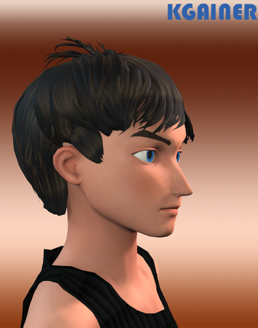 Toon Boy Cut Hair