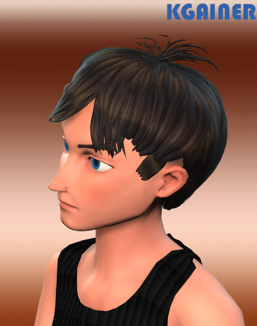 Toon Boy Cut Hair