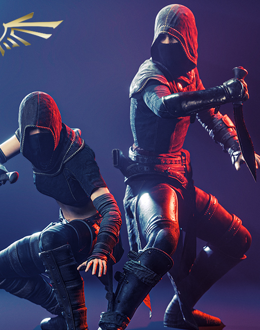 Advanced Assassin - Bundle