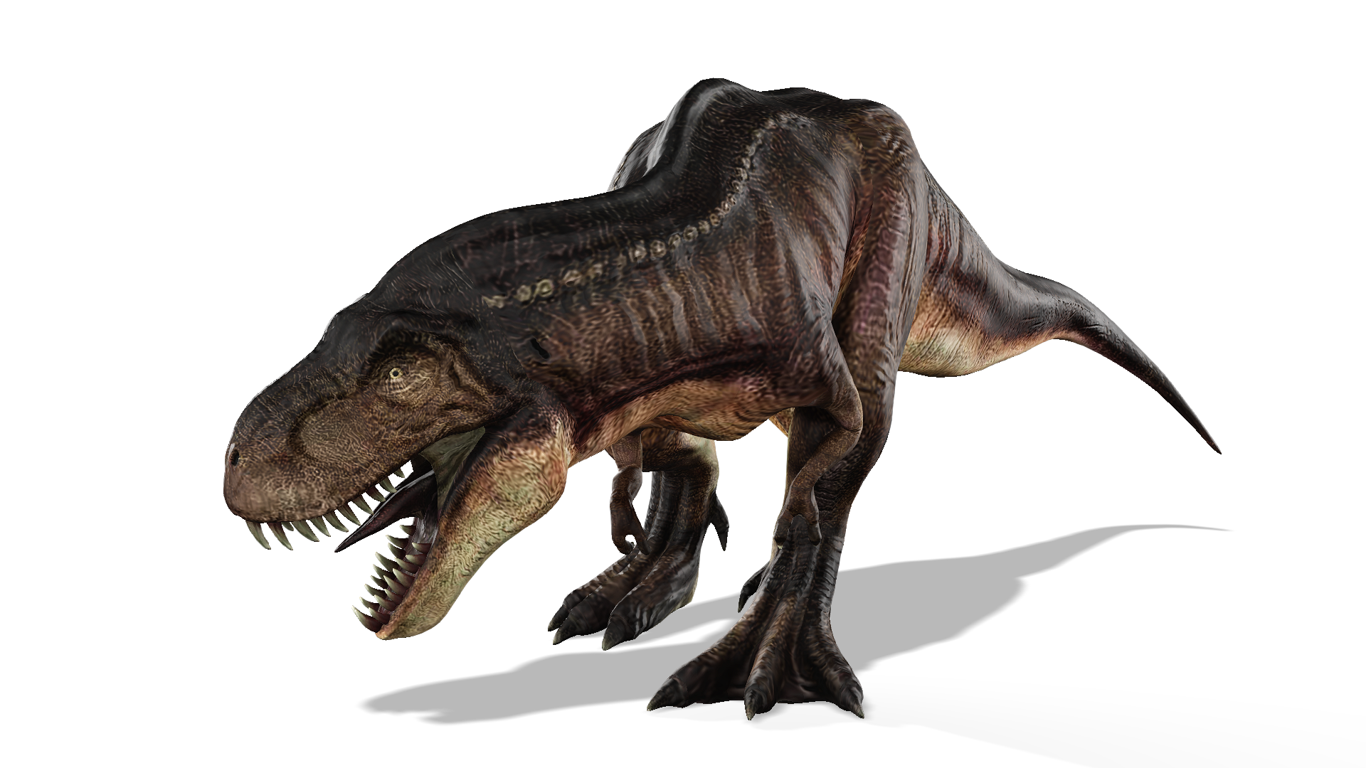 4K Realistic T-rex