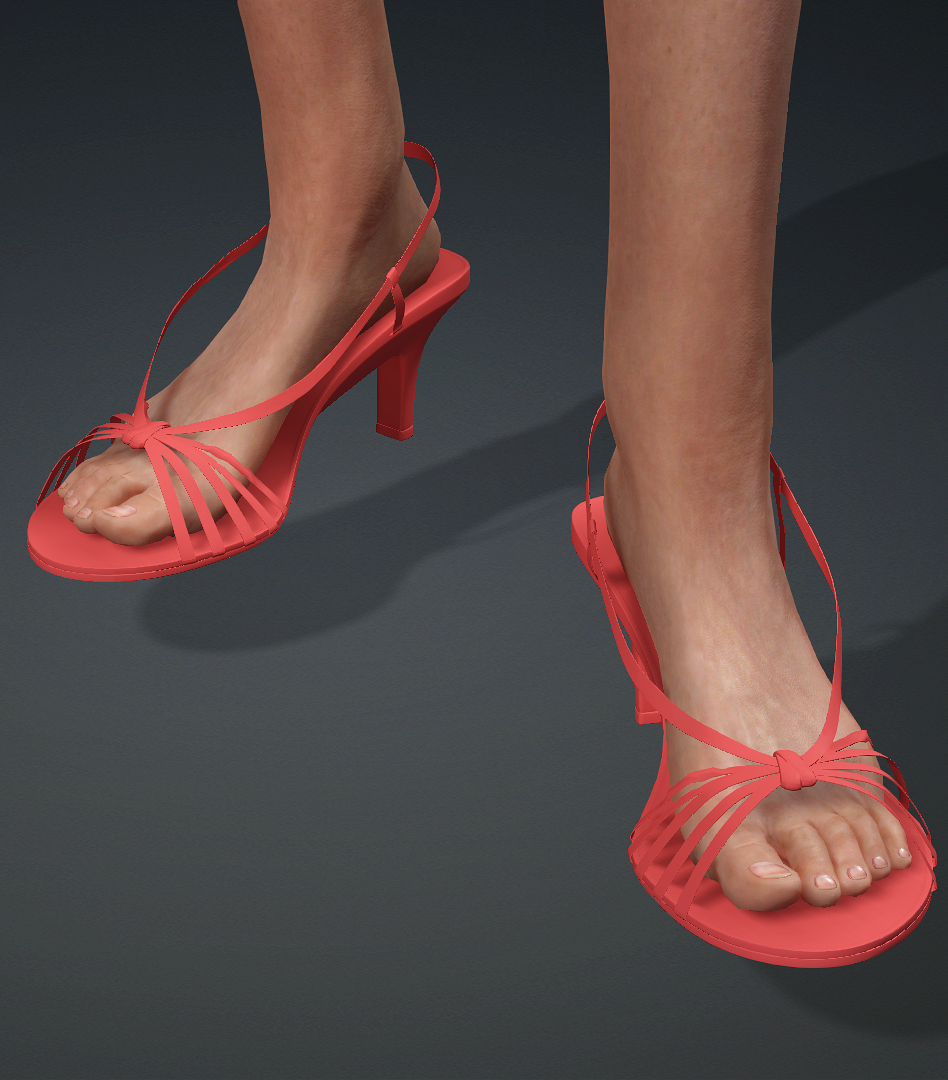 A set of women's shoes