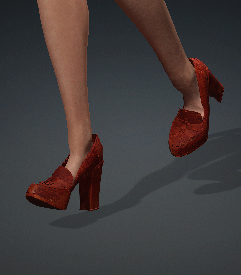 A set of women's shoes