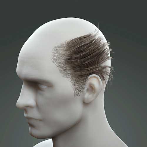 Back-swept_L