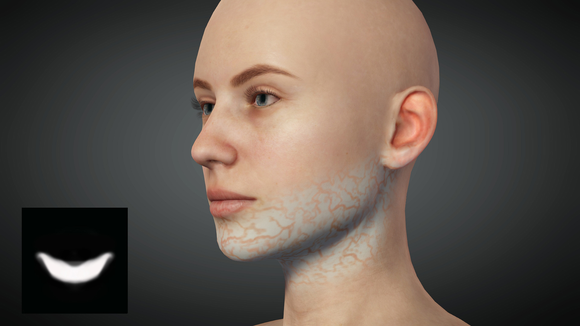 DMFX Face Mask Basic Set Pack 2