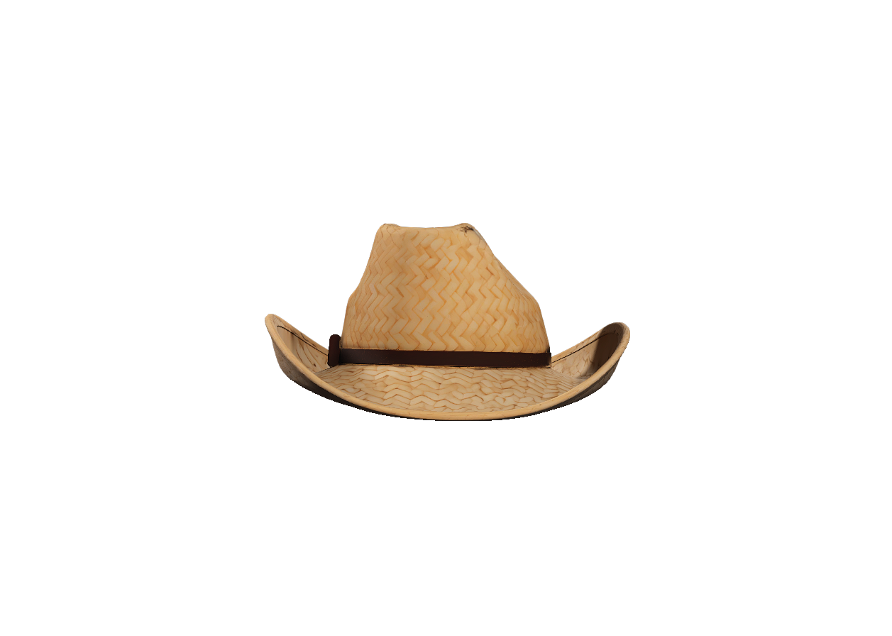 Hat Collection