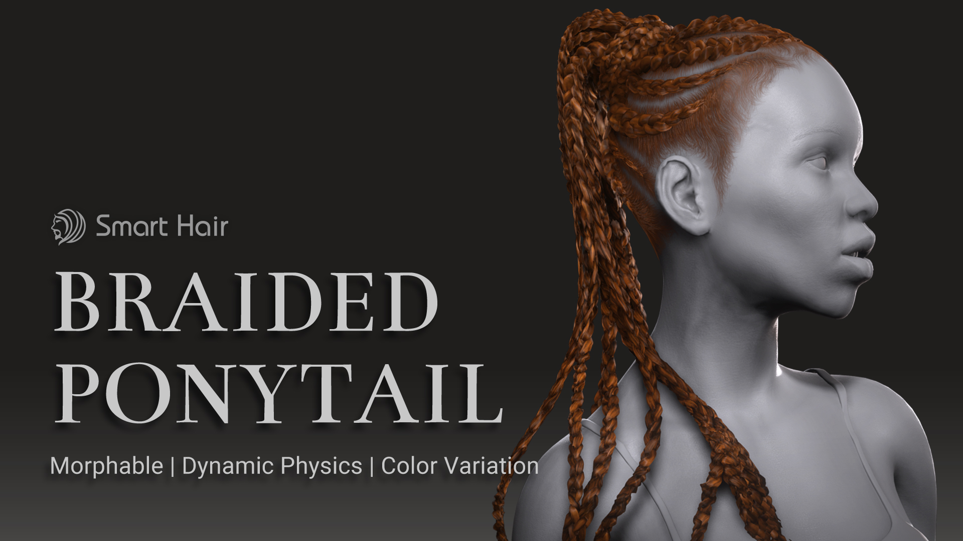 Braided Pony Tail