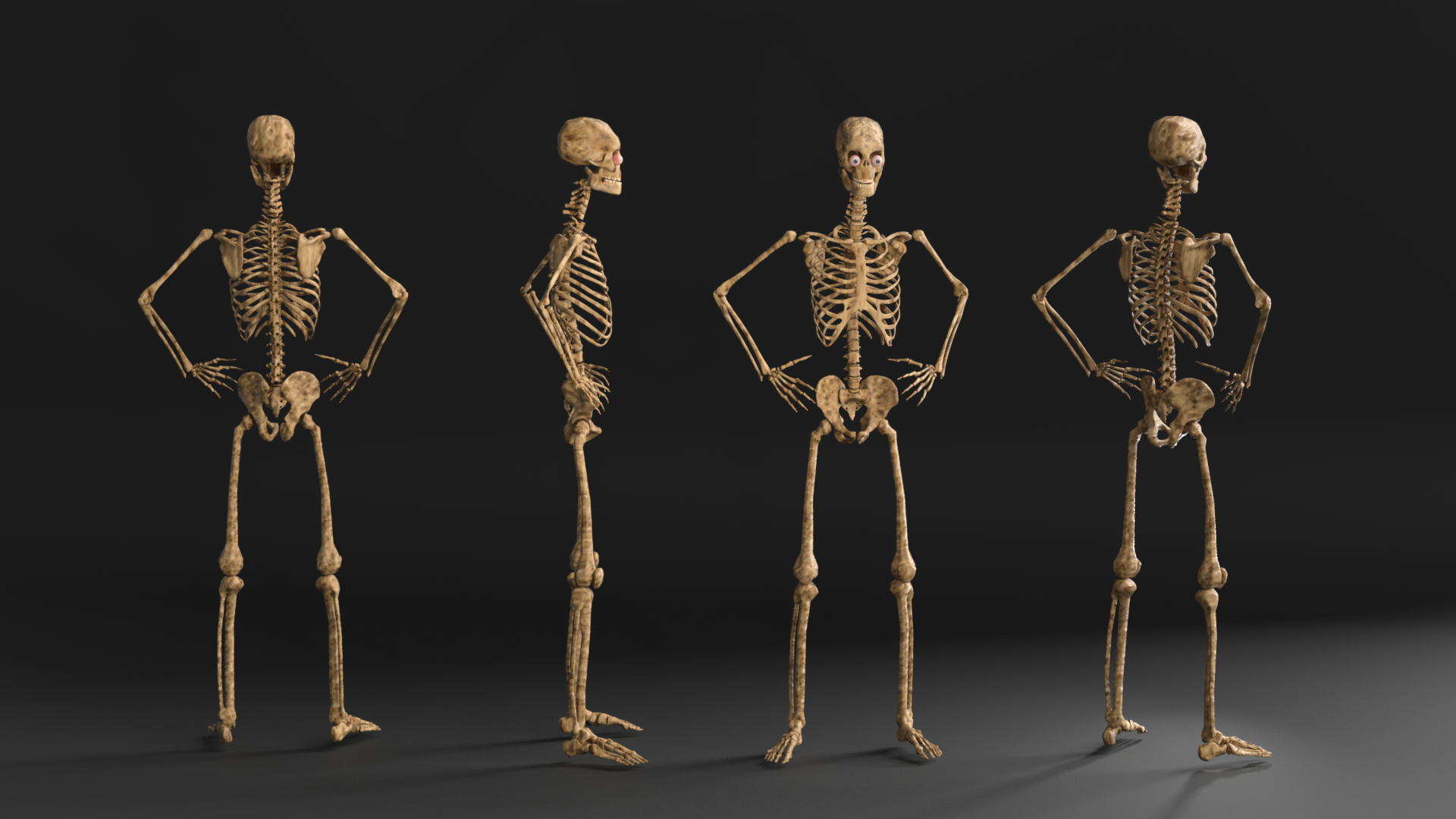 Skeleton Neutral M