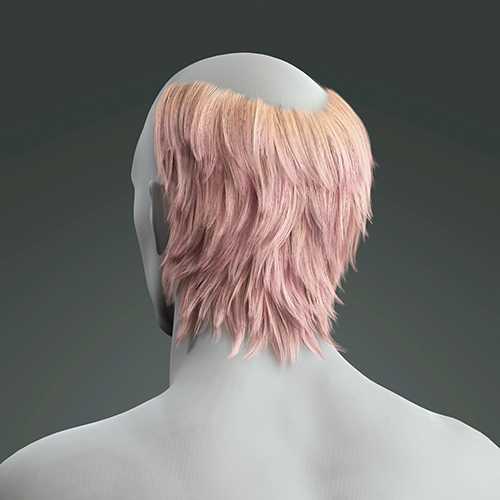 Mullet Hair