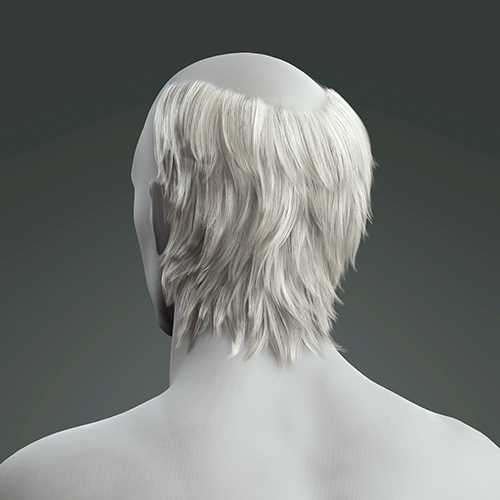 Mullet Hair