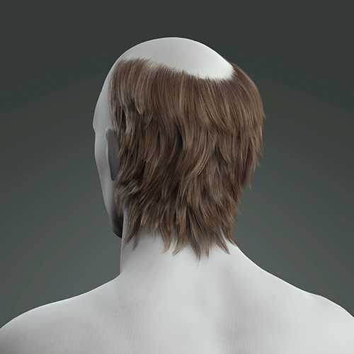 Mullet Hair