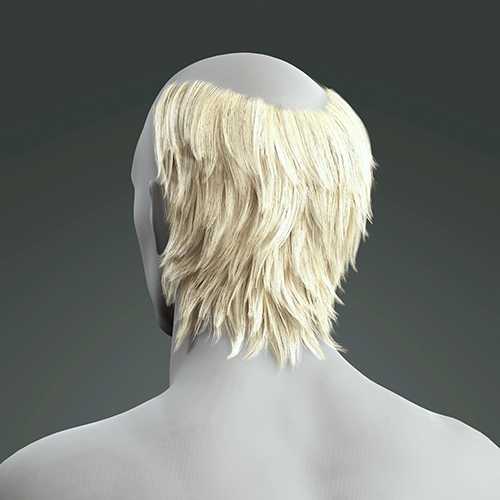 Mullet Hair