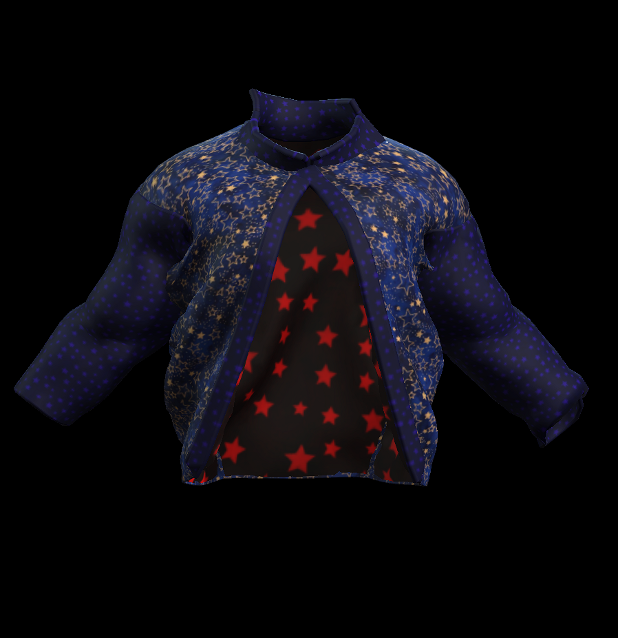 Wizards Coat 2