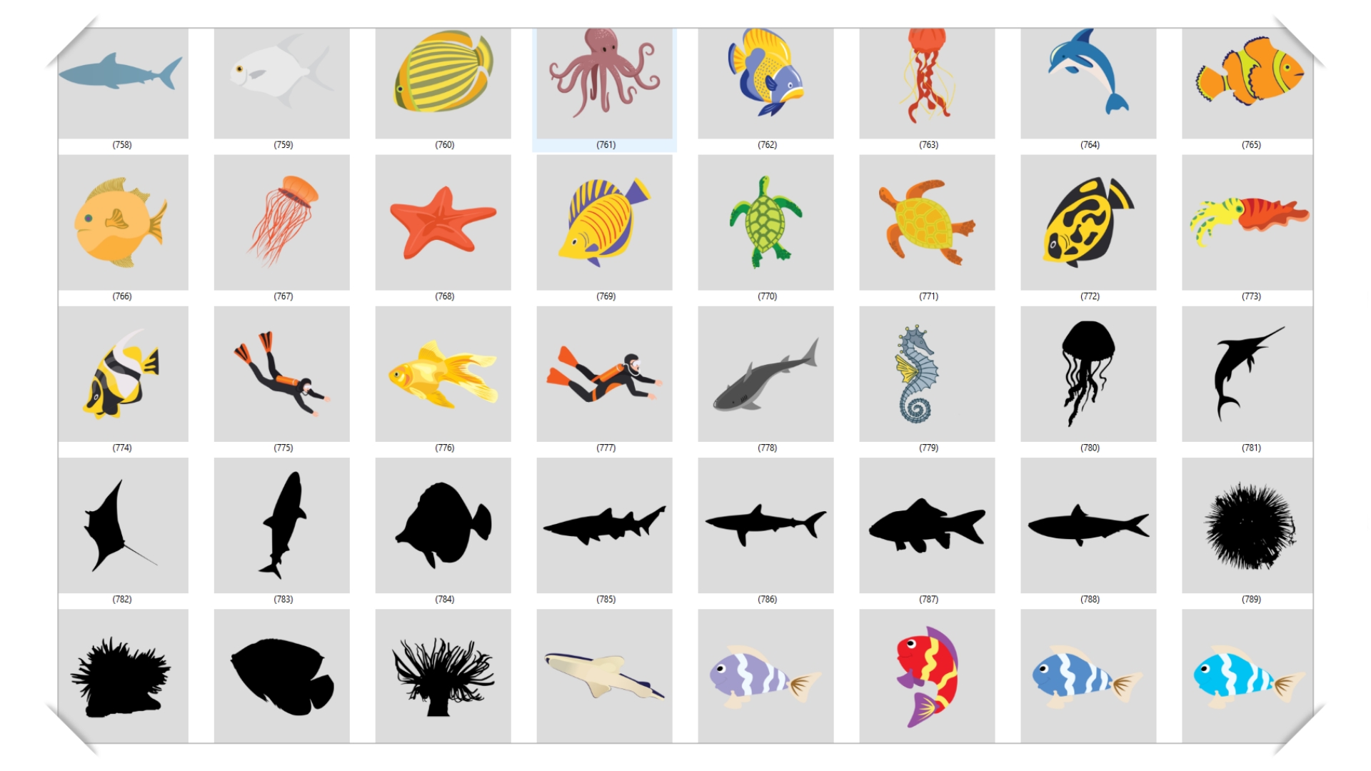 FISH PACK - 2