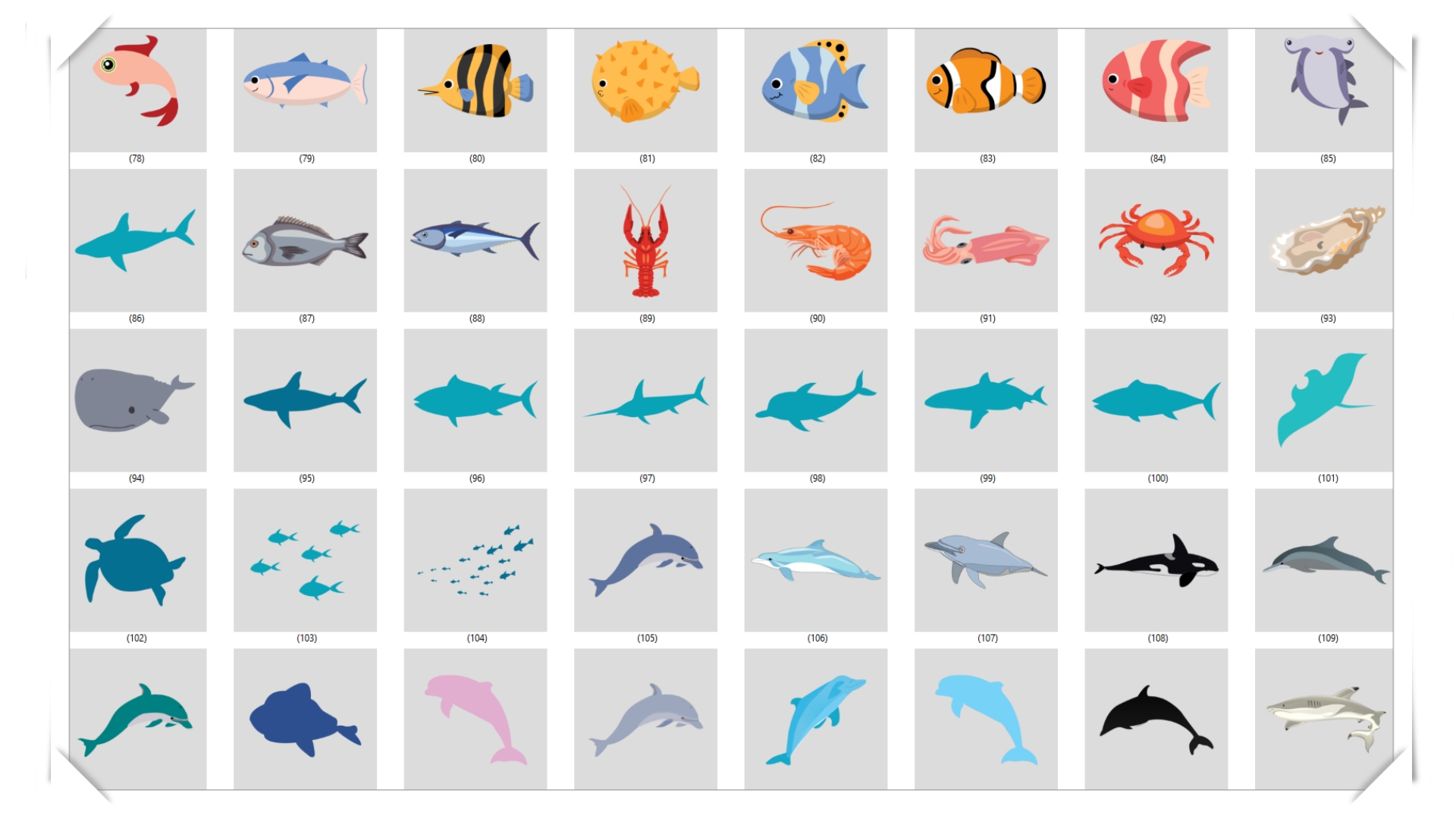 FISH PACK - 2