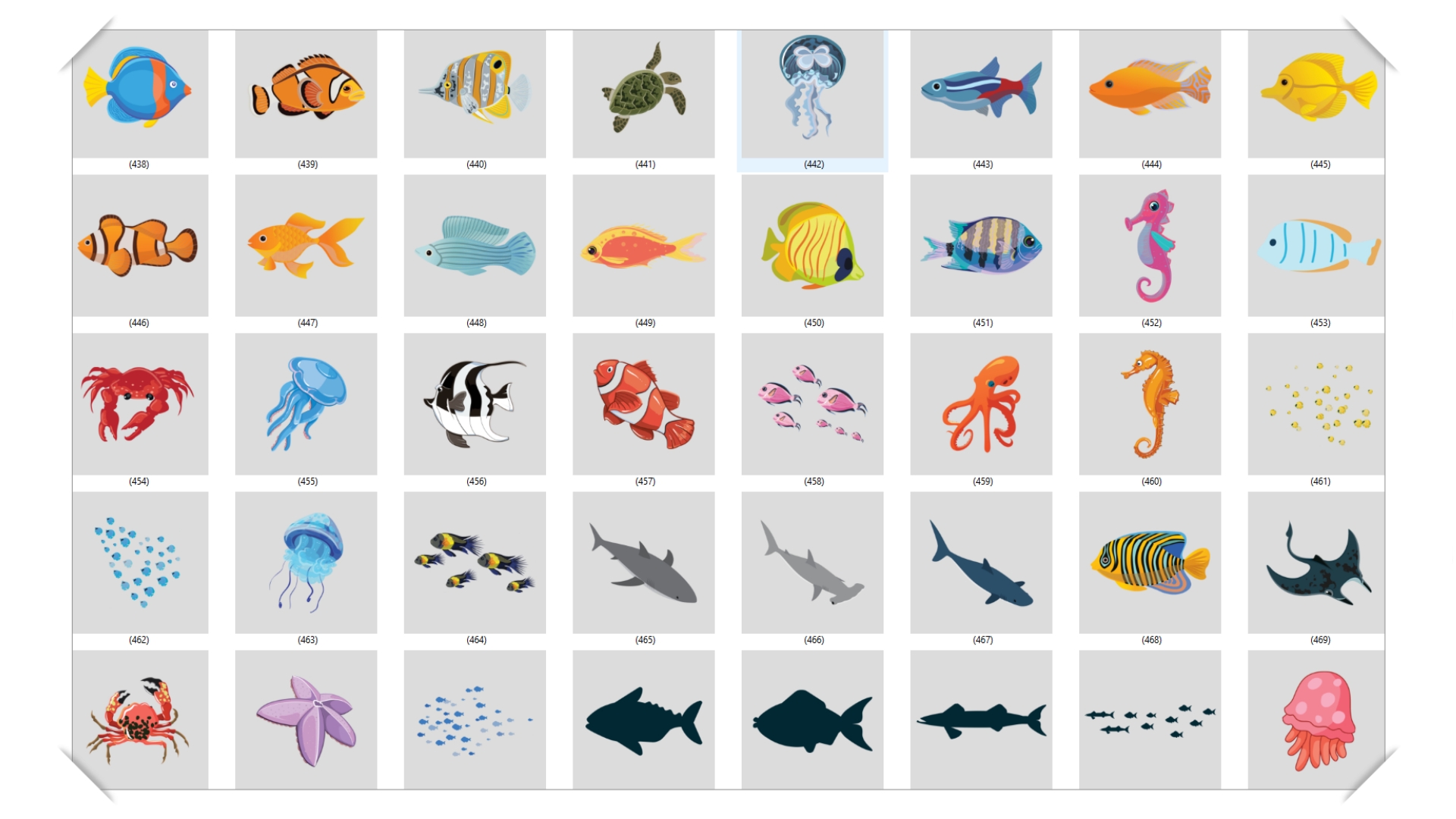 FISH PACK - 2