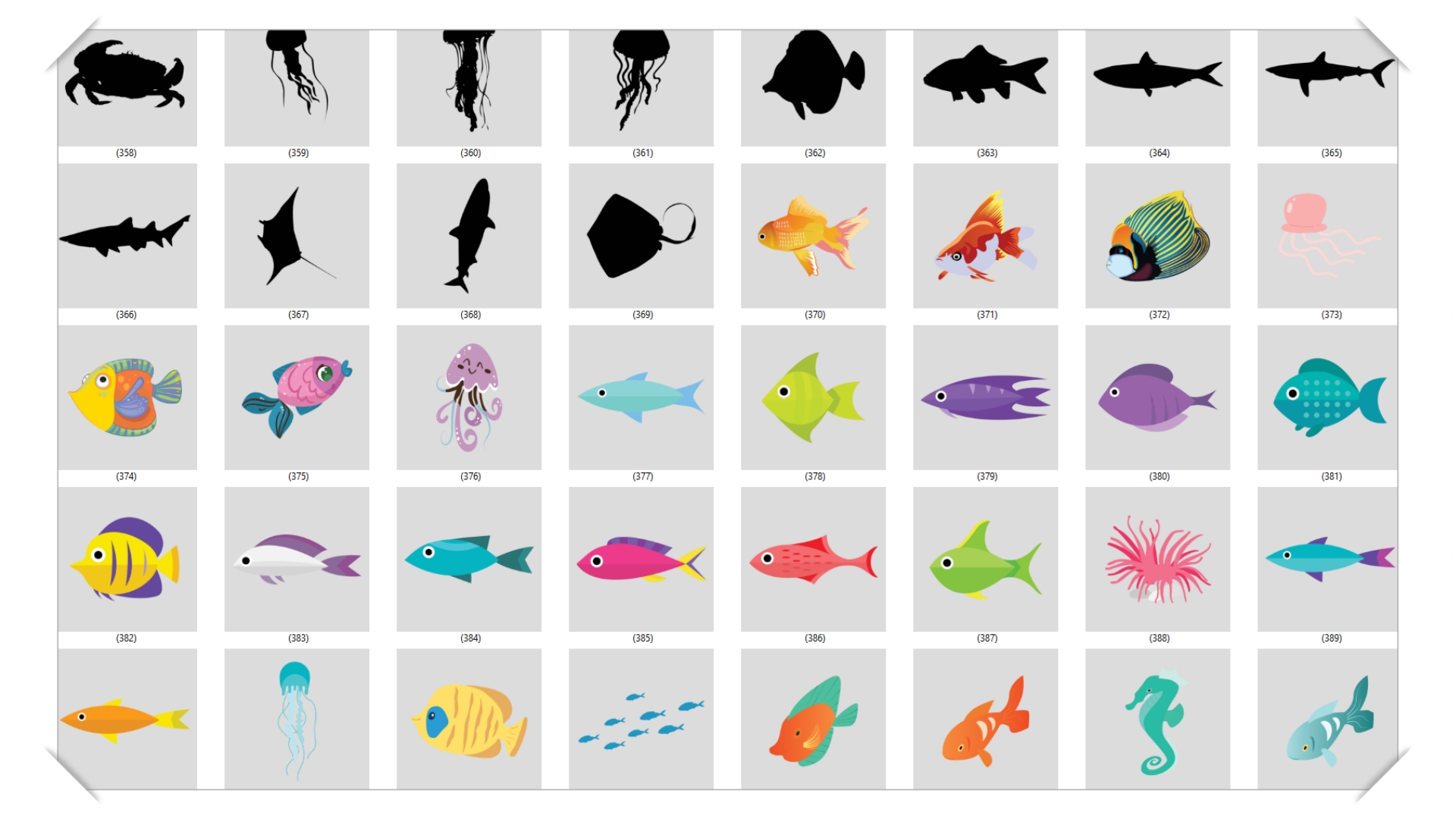 FISH PACK - 2