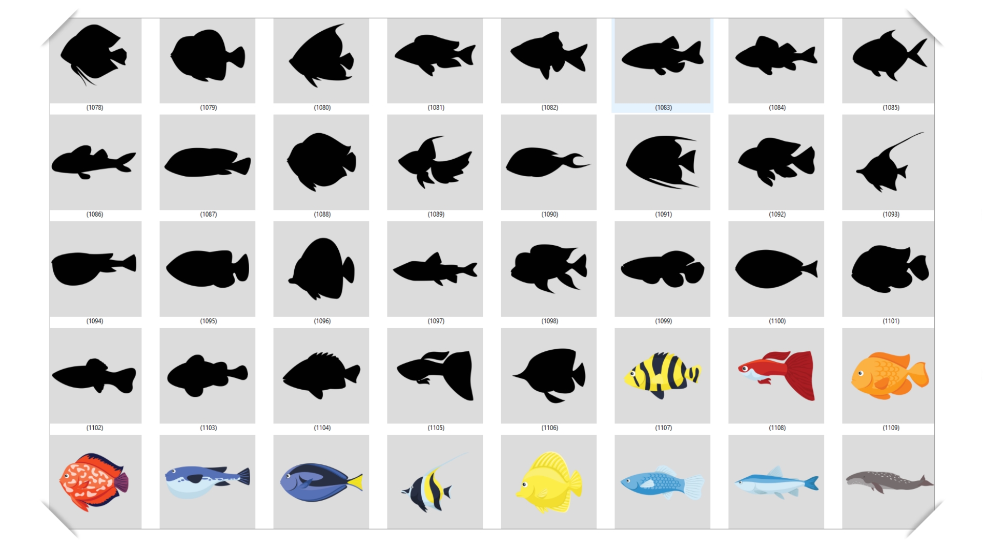 FISH PACK - 2