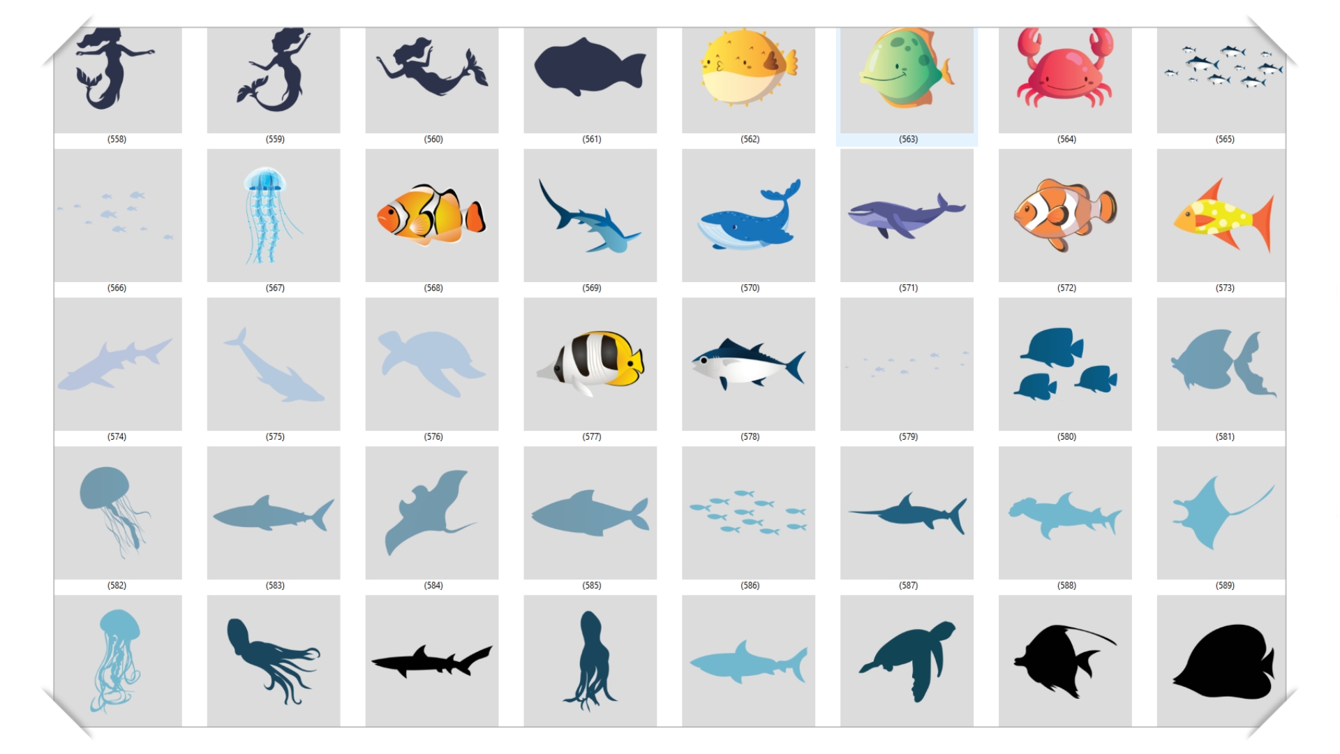 FISH PACK - 2