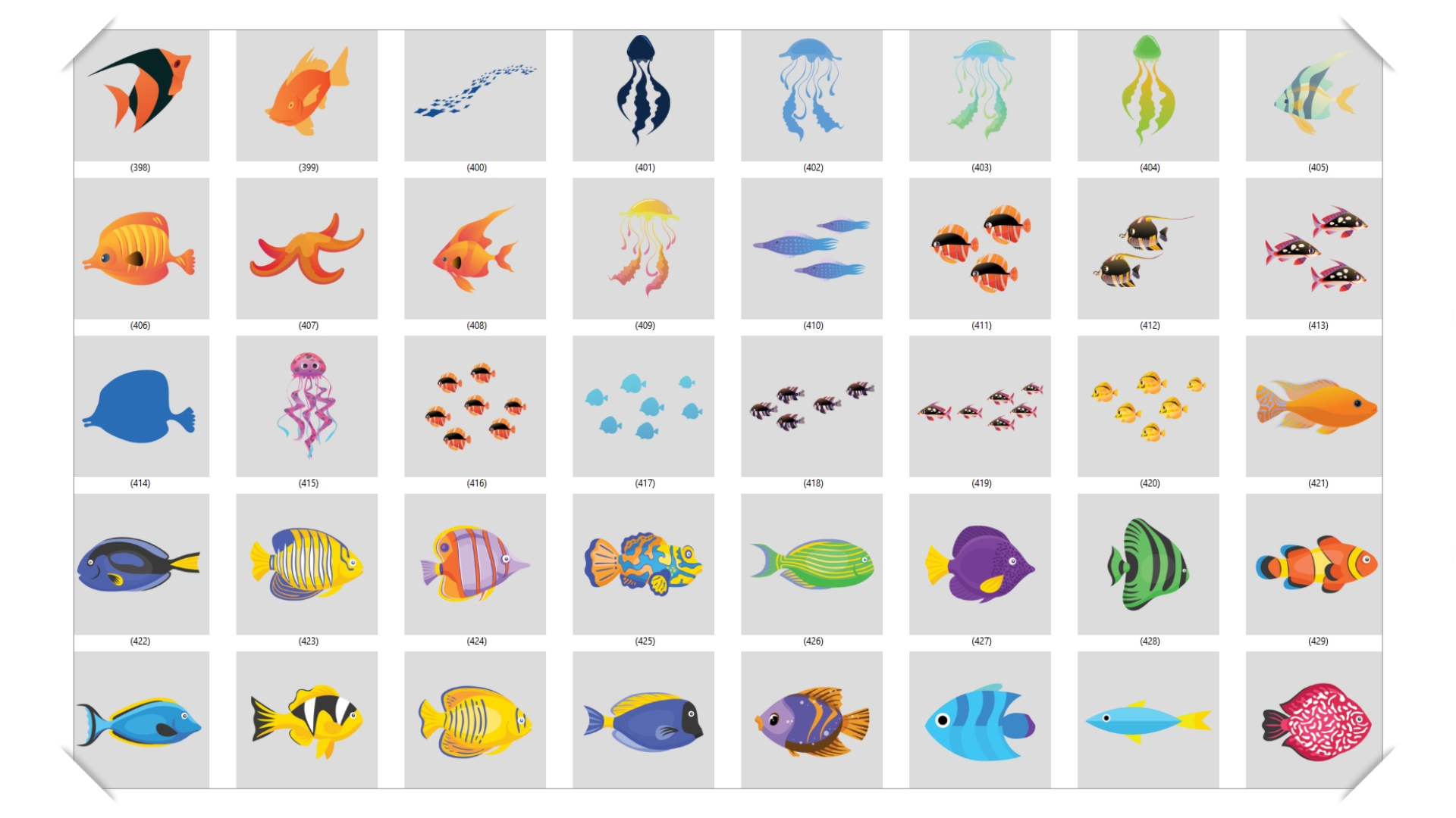 FISH PACK - 2