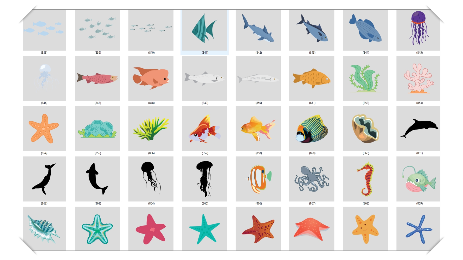 FISH PACK - 2