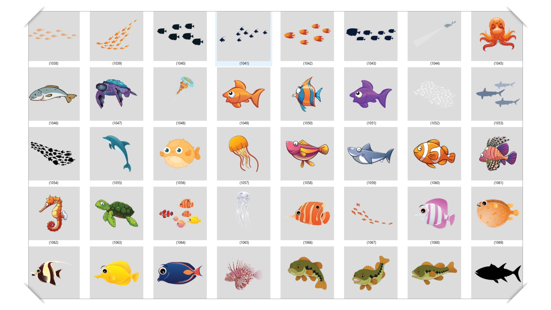 FISH PACK - 2