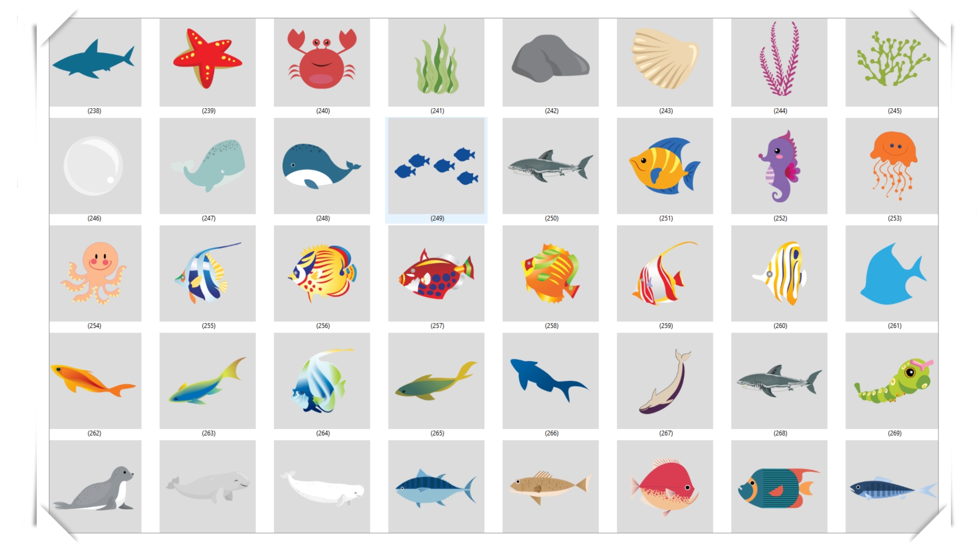 FISH PACK - 2