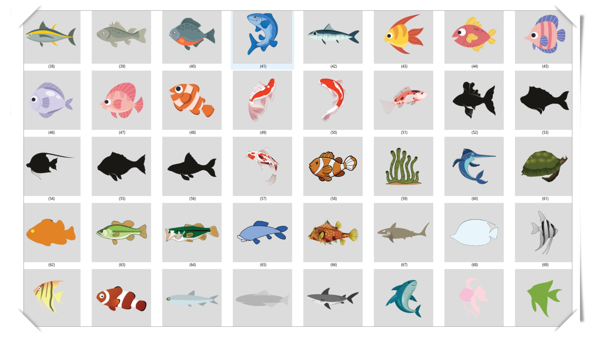 FISH PACK - 2