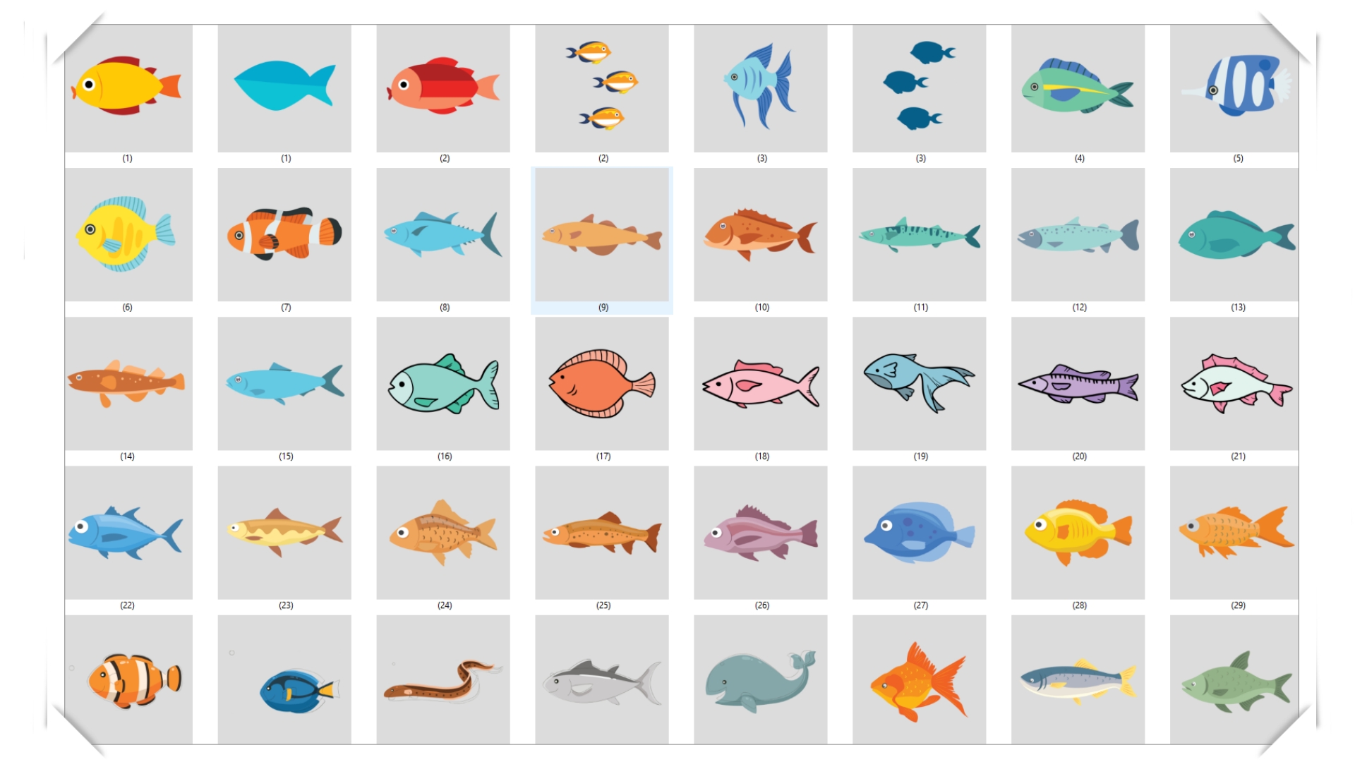 FISH PACK - 2