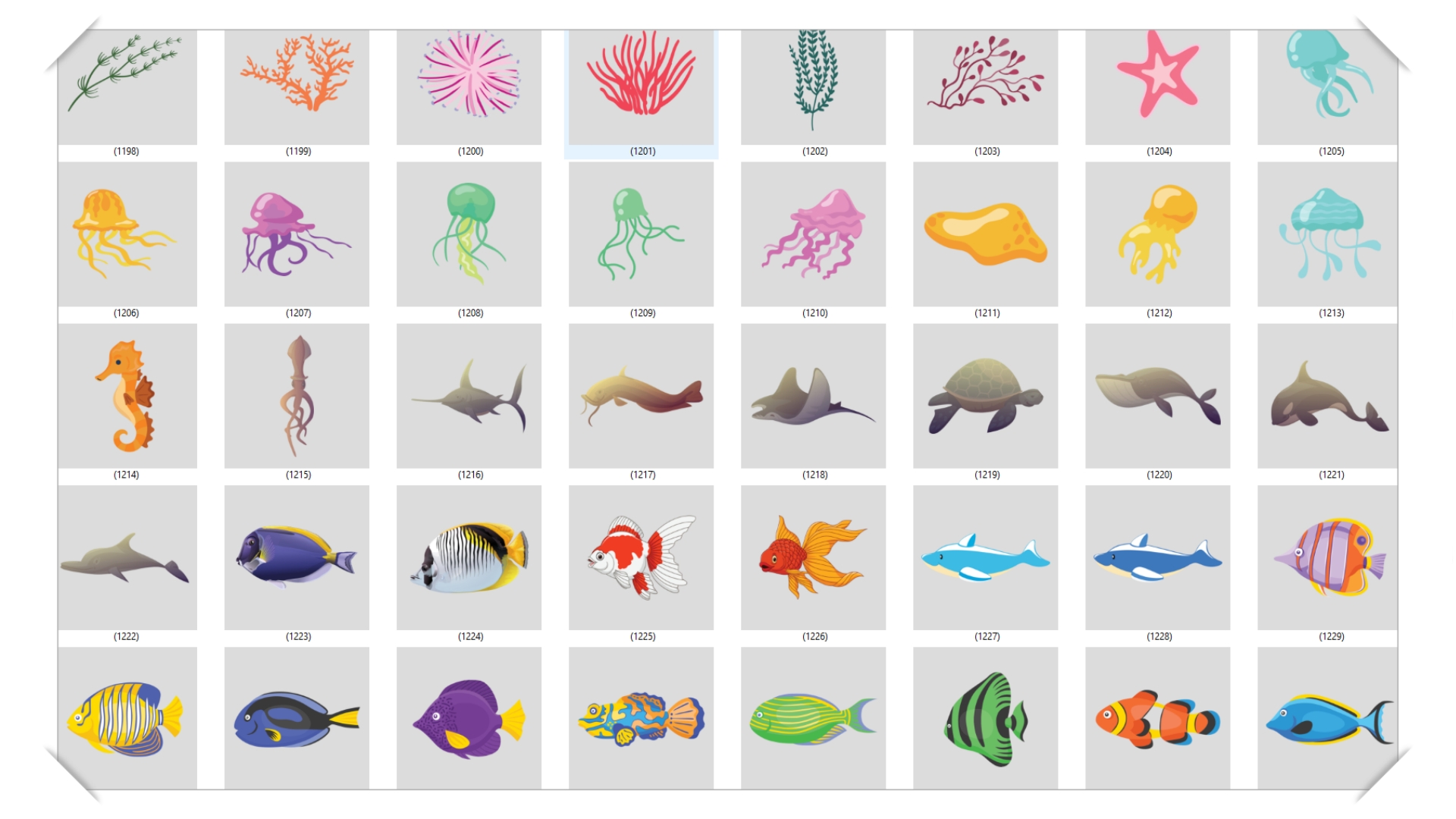 FISH PACK - 2