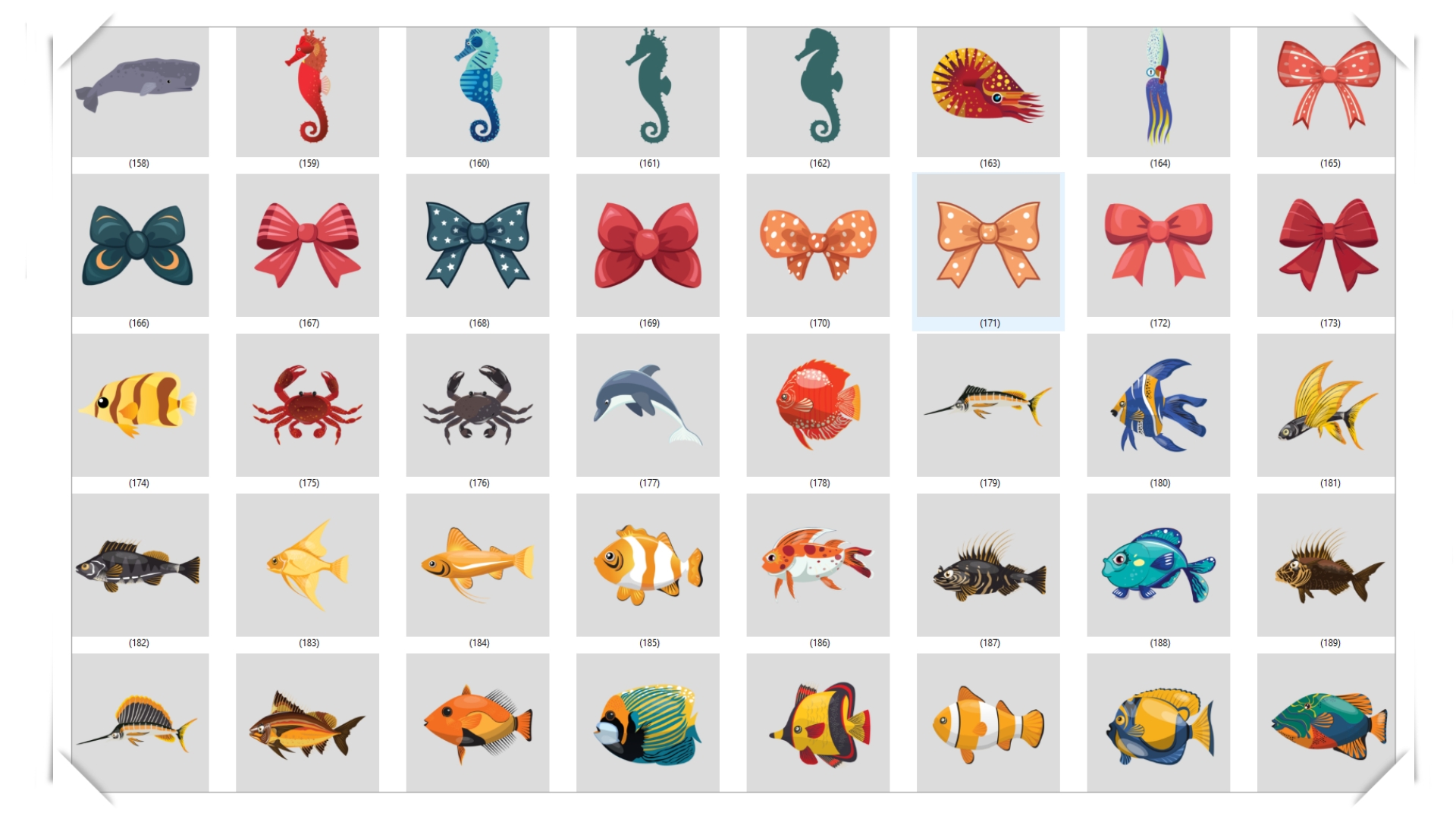 FISH PACK - 2