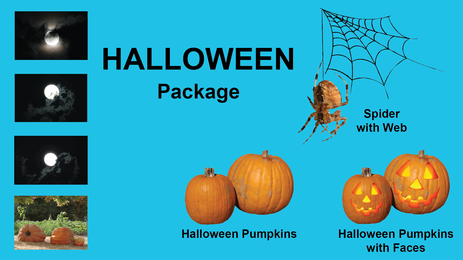 Halloween Package