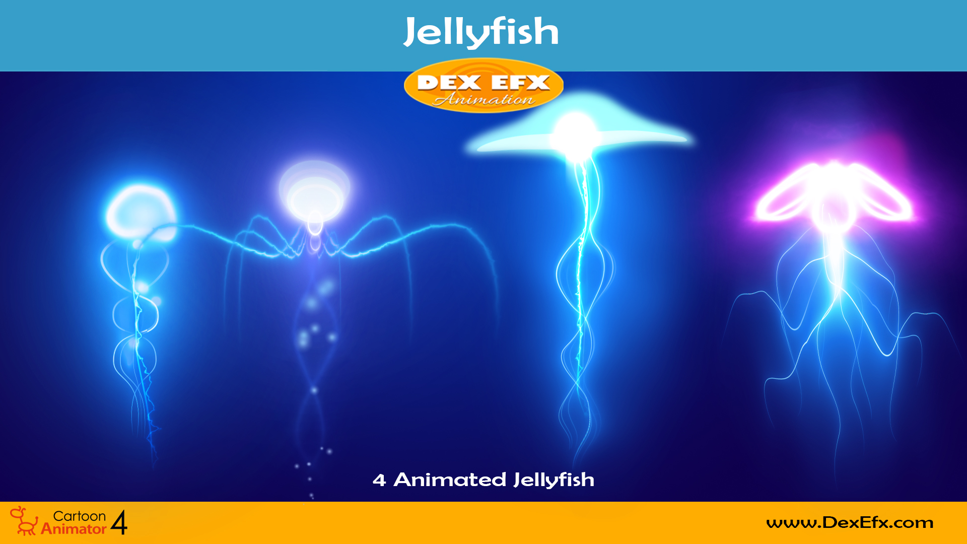 Jellyfish