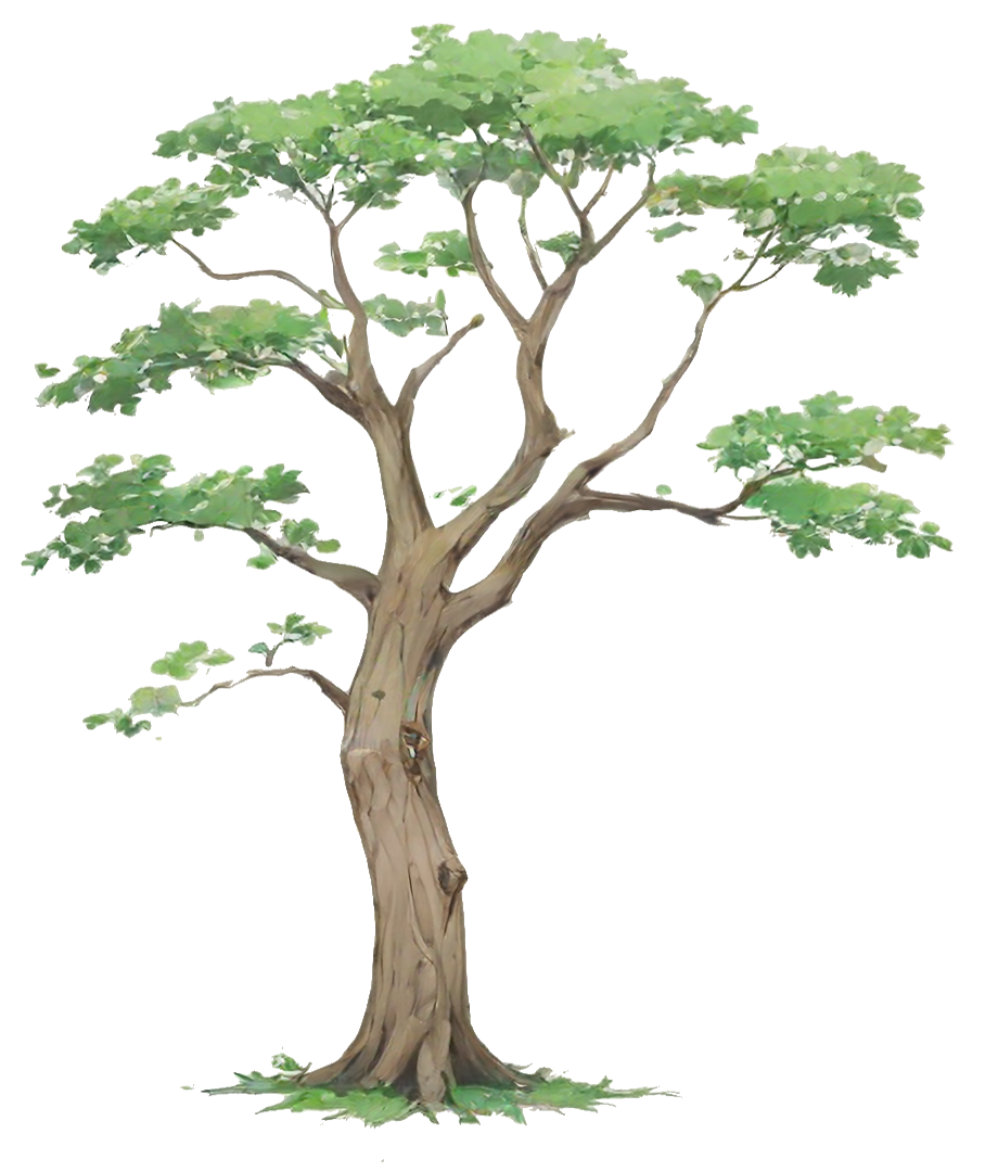 Trees