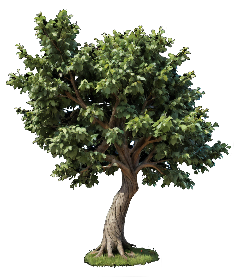 Trees